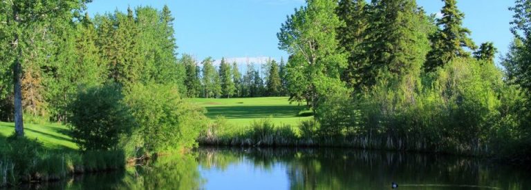 Alberta Springs